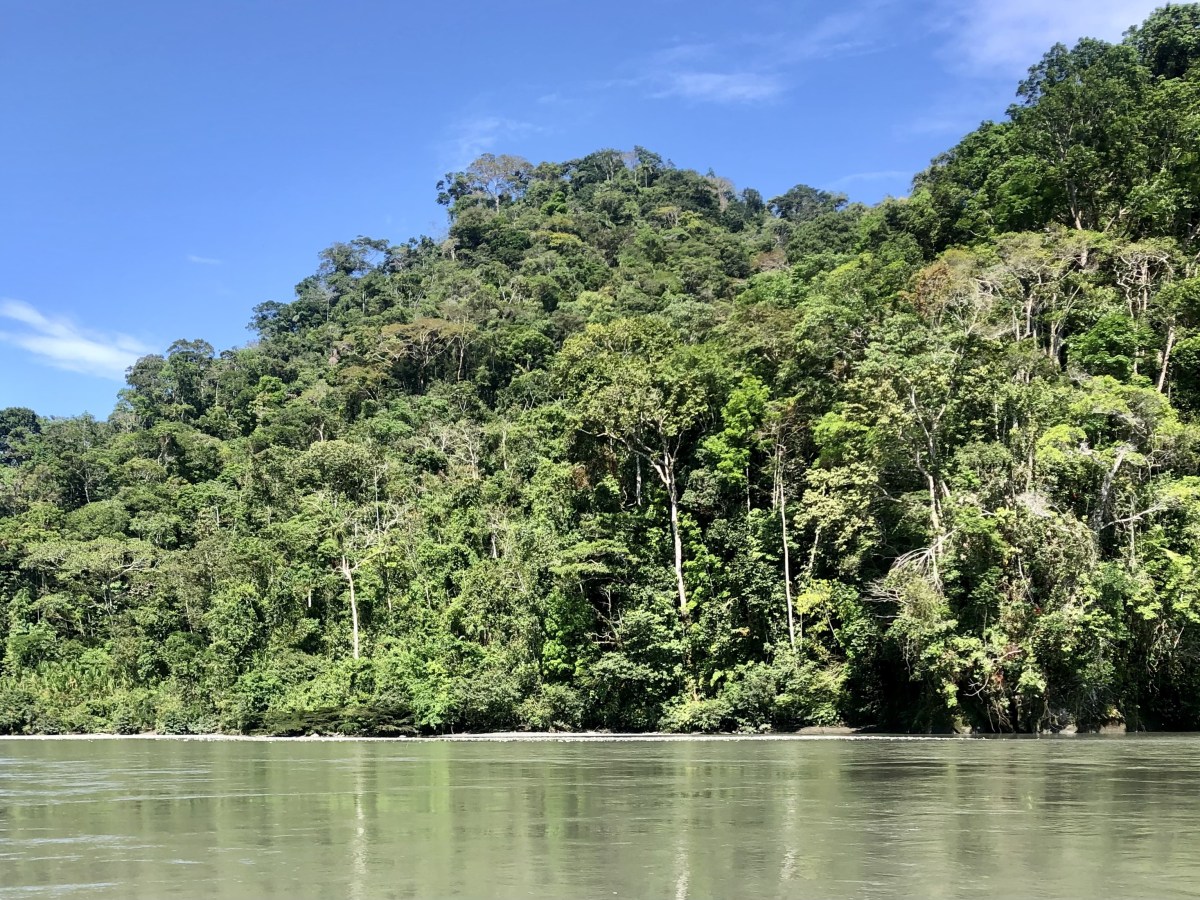 Ab in den Amazonas Perus | Go Now